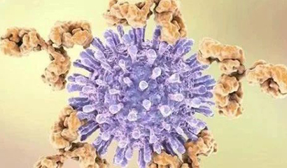 Boan Publishes LY-CovMab Research Results in Nature Sub-journal News ...